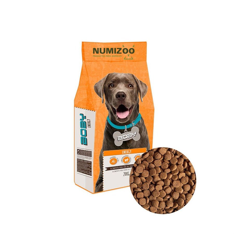 ᐅ Bobby Energy • Numizoo