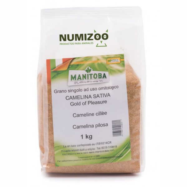 ᐅ Camelina Sativa Gold of Pleasure (Manitoba) • Numizoo